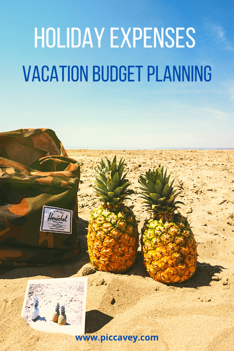 4 Holiday Expenses You Shouldn't Forget To Budget For ⋆ Piccavey
