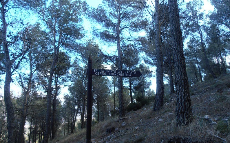 Lecrin Valley - Hiking up to the Cross in Pinos del Valle -Piccavey