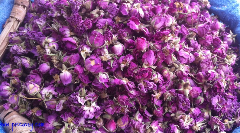 Sahara Desert, Roses + Kasbahs - My Morocco Road trip